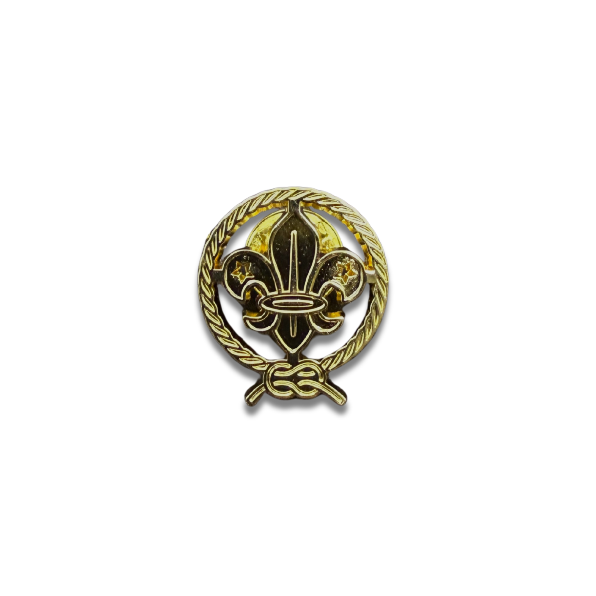 World Scout recessed pin badge – The Scout And Guide Shop